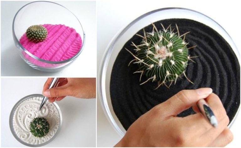 Minijaturni Zen vrtovi: Kako napraviti Zen vrt za relaksaciju i uživanje